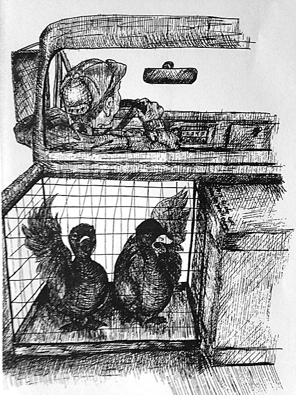 Belle-Duck at The Peabody - Yoknawpatawpha Press